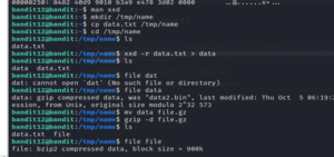 Over the Wire - Bandit Complete Write up - CavemenTech - Demystifying ...