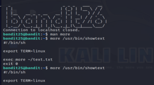 Over the Wire - Bandit Complete Write up - CavemenTech - Demystifying ...